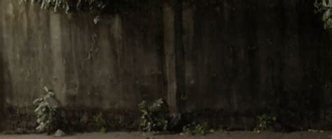 Dirtyicecream2024 Vivamax Eporner