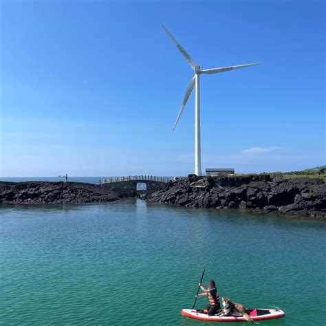 월령포구 스노쿨링 스팟 물때 제주도 스노클링 제주 바다 수영 네이버 블로그