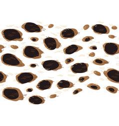 Leopard Seamless Pattern Royalty Free Vector Image