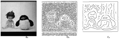 Stereoscopy On Complex Scenes And Edge Detection