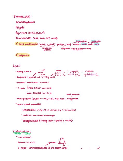 Ch 2 Molecular Interactions Notes Biomolecules 1 Carbohydrates 2 Lipids 3 Proteins Havec H O