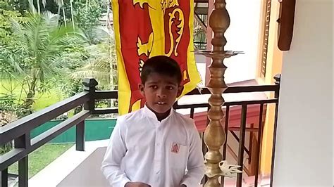 75 වන ජාතික නිදහස් දින සැමරුම් නිදහසේ සිතුවිළි නිර්මාණ දැක්ම
