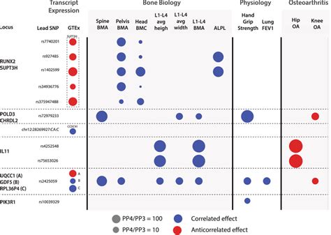 Genetic Colocalization Analysis The Colocalization Of Genetic Signals