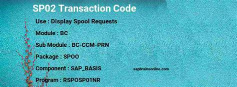 SP SAP Tcode For Display Spool Requests