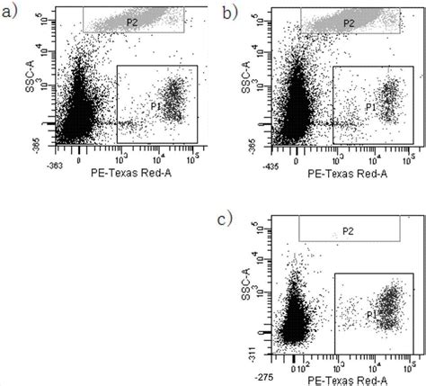 Rapid Purification Device And Rapid Purification Method For Pathogenic Bacteria In Sputum Sample