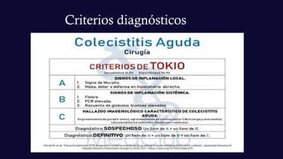 Expo Criterios De Tokio Para Diaganostico De Colangititispptx