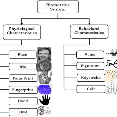 The Different Types Of Biometric Systems Download Scientific Diagram