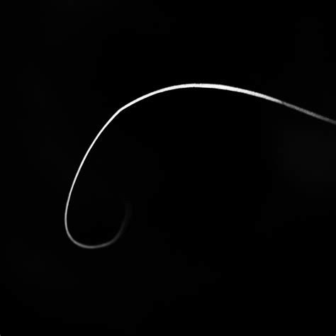 FLOW V On Behance