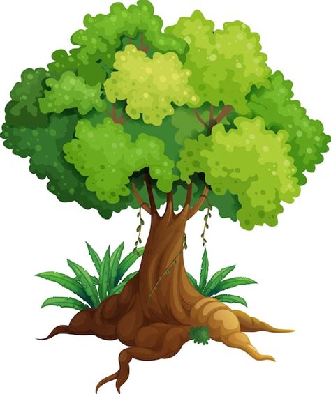 Premium Vector An Isolated Tree On White Background