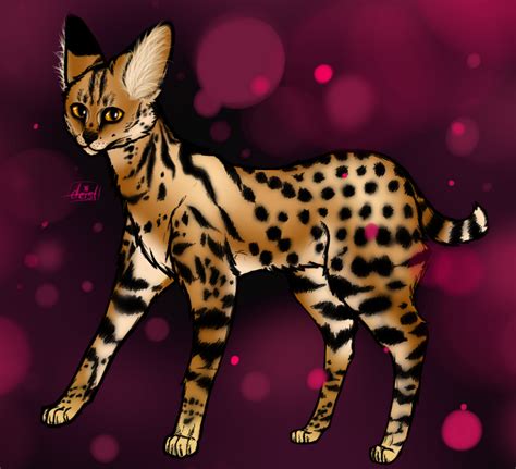 Serval Cat Practice By Mossymoth On DeviantArt