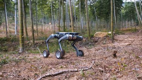 Chinese Military Unveils Ai Powered Wolf Robots For Complex Terrain