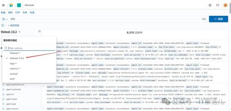 Elasticsearch基于kibana导出应用数据 墨天轮