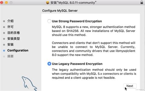 mysql8 0下载安装与配置保姆级教程 macos版本 csdn博客
