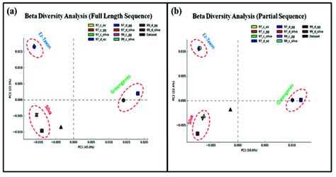 Benchmarking Of 16s Rrna Gene Databases Using Known Strain Sequences Pmc