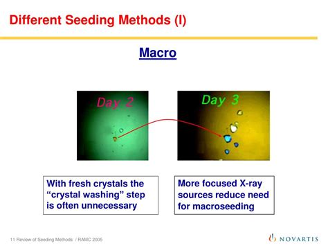 Ppt A Review Of Seeding Methods Powerpoint Presentation Free Download Id 4763391