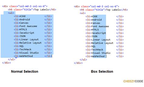 Box Selection Dynamic Selection In Visual Studio Editor
