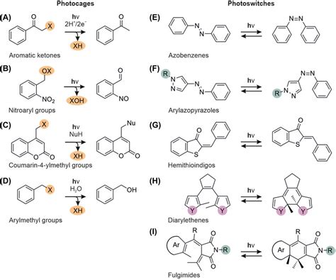 Main Examples Of Photocages Ad And Photoswitches Ei Only The Download Scientific Diagram