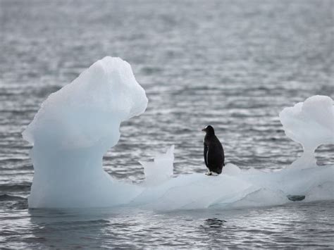 Nasa Posted A Photo Of A Nearly Perfect Rectangular Iceberg And Its So Satisfying To Look At