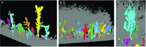 Examples Of Point Clouds Shown In The LiDAR 360 Software Following Download Scientific Diagram