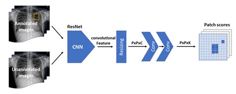 Base Model Overview 3 Input Images Are Processed A Cnn Extracting Download Scientific