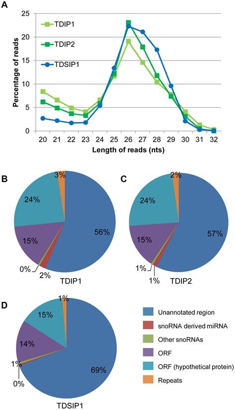 Analysis Of The Ngs Libraries A Size Distribution Of Sequences