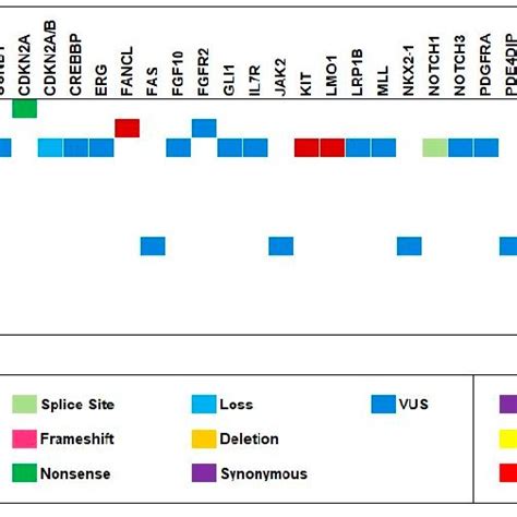 Mutational Profile Of The 11 Patients As Represented By Heatmap The