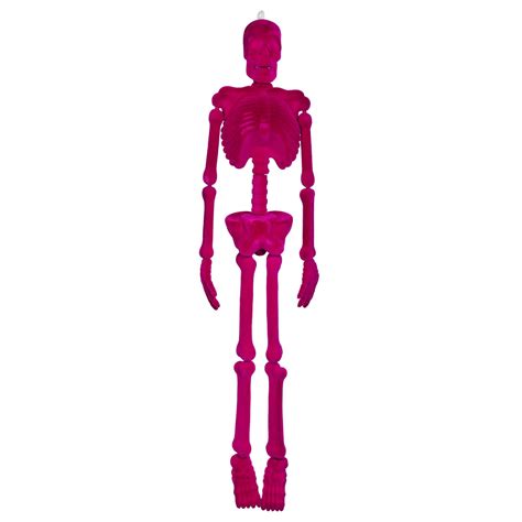 Pink Flocked Skeleton By One Hundred 80 Degrees Traditions