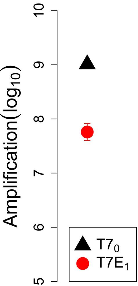 Amplification On Non Selective Hosts Amplification Of T70 Is 20 30 Download Scientific Diagram
