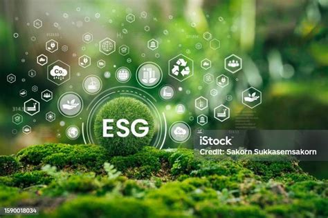 개념 환경 사회 및 거버넌스의 Esg 지속 가능하고 윤리적인 천연 가스 사업 에너지 연결 아이콘은 이끼 녹색 배경이 있는 녹색