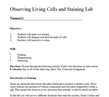 Observing Cells And Basic Staining Lab By Tater S STEM TPT
