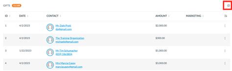 How Do I Customize My Query Results View Virtuous