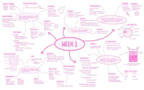 Mind Map Basic Science