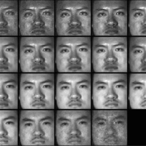 A Cropped Hyperspectral Face Data Cube For The Cmu Hsfd Dataset Many