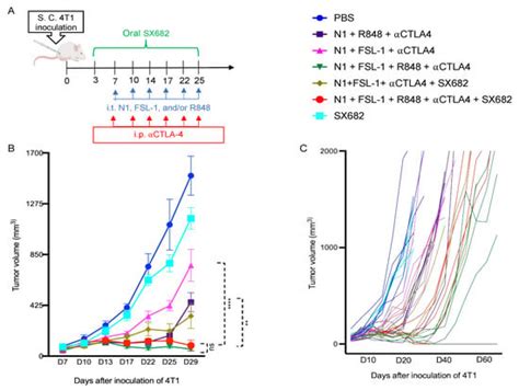 Regression And Eradication Of Triple Negative Breast Carcinoma In 4t1