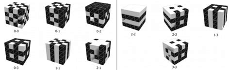 20 Schematic Representation Of The Connectivity Families For