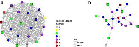 A Association Contact And B Grooming Contact Network Plots During A