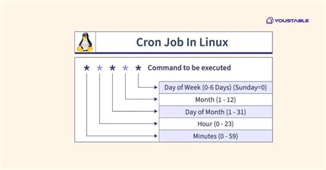 Schritt Für Schritt Cron Jobs Unter Linux Einfach Konfigurieren