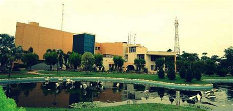 Cv Raman Global University Bhubaneswar Fee Structure And Course Fees 2025