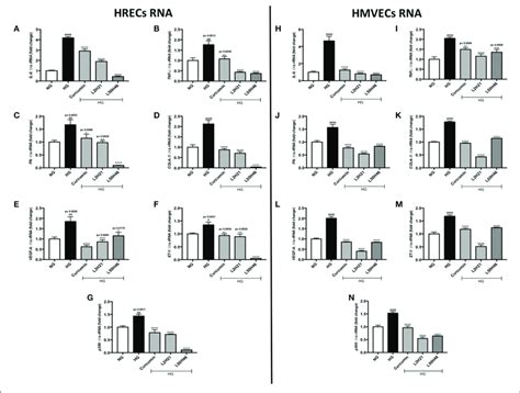 Curcumin Analogs Significantly Reduced Gene Expressions Associated Download Scientific