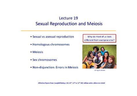 L19 Ho Meiosis Notes Sexual Vs Asexual Reproduction Homologous