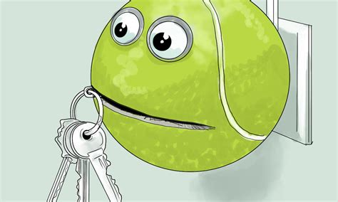 Wikihow How To Do Anything