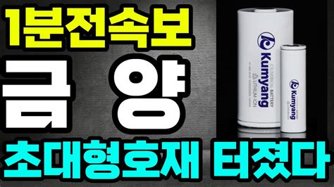 금양 🔥1분전속보 초대형 호재 터졌다 금양 금양주가 금양주가전망 박순혁 Youtube