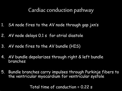 Ppt Cardiac Conduction Powerpoint Presentation Free Download Id 586504
