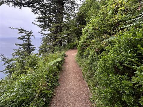 Hiking The Cape Lookout Trail On The Oregon Coast — Noahawaii