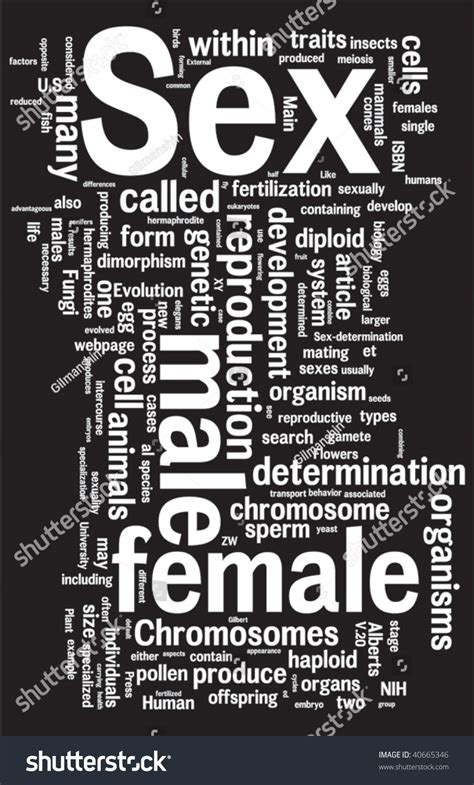 Ilustración de nube de palabras sexuales vector de stock libre de regalías