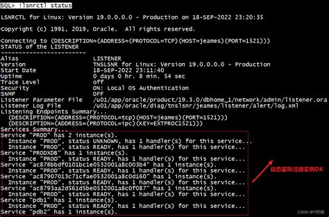 oracle故障案例 19c动态监听无法注册实例的处理 oracle19c listener csdn博客