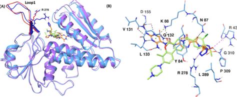 Selectivity Analysis Of Diaminopyrimidine Based Inhibitors Of Mthfd1