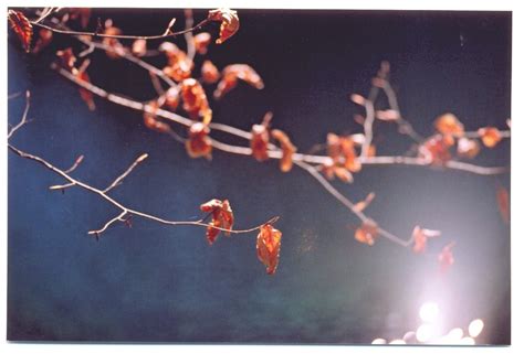 slight Foto & Bild | emotionen, leise, youth Bilder auf fotocommunity