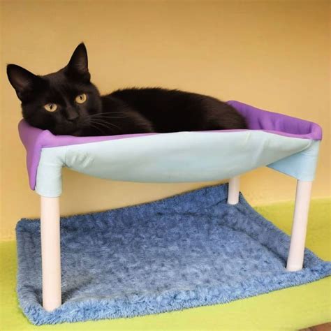Making A Diy Cat Hammock At Home