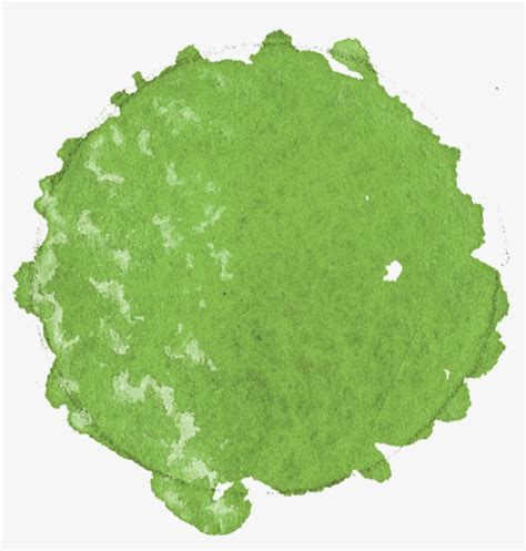 Tree Floor Plan Png Viewfloor Co